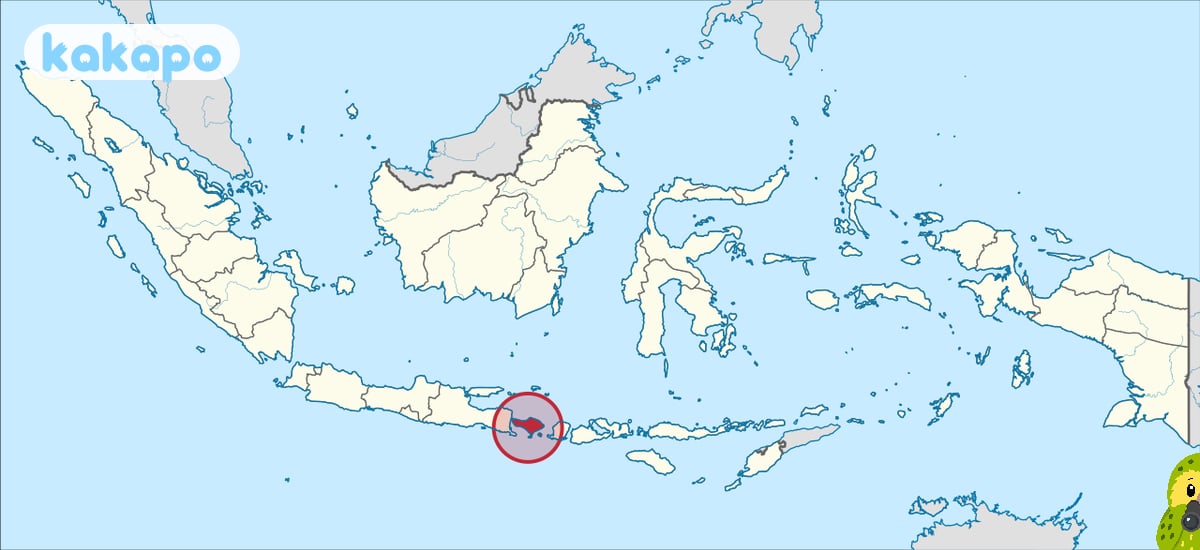 Is Bali, Indonesia Safe in 2026? Crime, Scams & Travel Tips