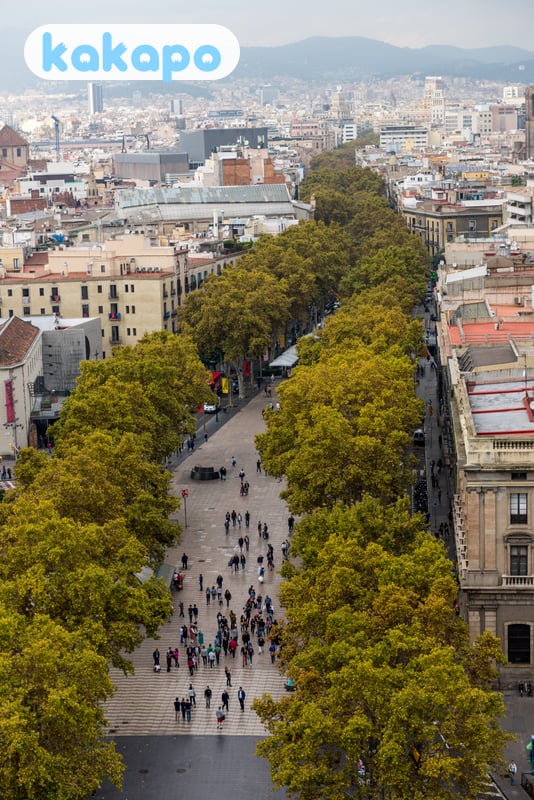 Is La Rambla, Barcelona, Spain Safe in 2026? Safety Guide