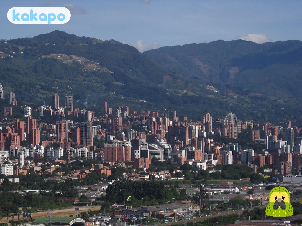 Is Medellín, Colombia Safe in 2026? Crime, Scams & Travel Tips